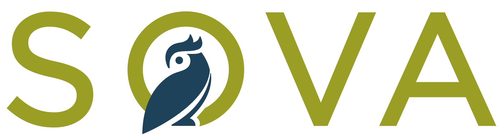 Building a Culture of Cross-Silo Collaboration: The Practical Art of Bridging & Gluing – SOVA ...